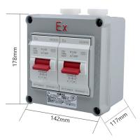 China Two switches 20A Explosion-Proof Air Switch AC 220V/380V Zone 1/2 Application for sale