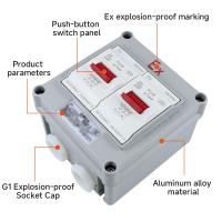 China Two switches 20A Explosion-Proof Air Switch AC 220V/380V Zone 1/2 Application for sale