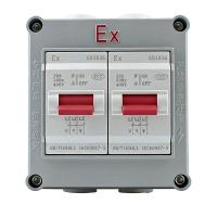 China Two switches 20A Explosion-Proof Air Switch AC 220V/380V Zone 1/2 Application for sale