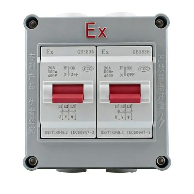 China Two switches 20A Explosion-Proof Air Switch AC 220V/380V Zone 1/2 Application for sale