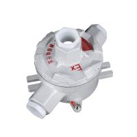 China AH-IIC/Type G Double Hanger Type WF1 Anti-corrosion IP65 Dust-proof Explosion-proof Junction Box Made of Aluminum Alloy for sale