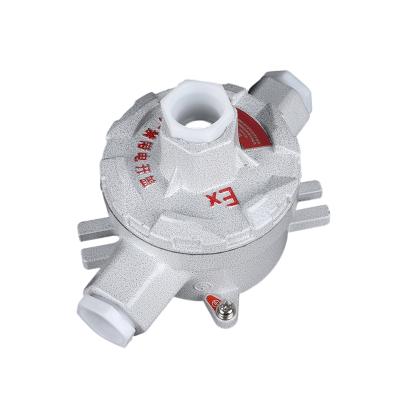 China AH-IIC/Type G Double Hanger Type WF1 Anti-corrosion IP65 Dust-proof Explosion-proof Junction Box Made of Aluminum Alloy for sale