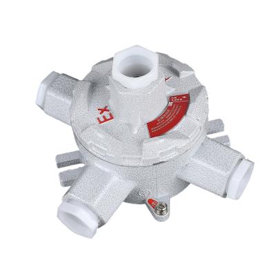 China Explosion-proof and Dustproof Special AH-IIC Type H Triple Hanger Type Explosion-proof Threading Junction Box for sale