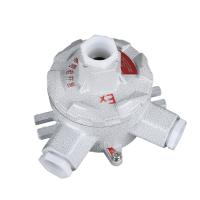 China Exd IIC T6 AH-IIC Type J Electrical Box, 220V/380V 20A Explosion-proof Aluminum Alloy Hangers Easy Install for sale
