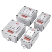 China Increased Safety Type Explosion-proof Wall Switch Double Gang IP65 Rated for sale