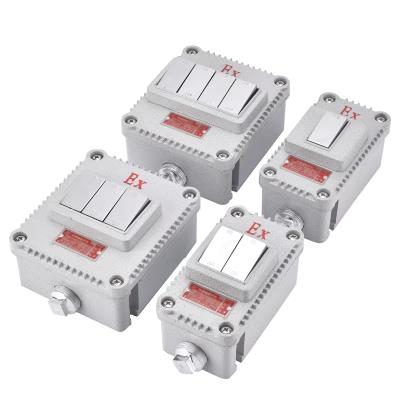 China Increased Safety Type Explosion-proof Wall Switch Double Gang IP65 Rated for sale