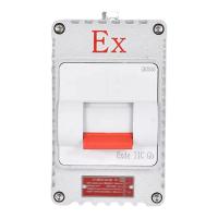 China 1 Circuit Explosion-proof Safety Circuit Breaker 220V/380V 10A/20A/32A/40A/63A Industrial Waterproof Breaker for sale