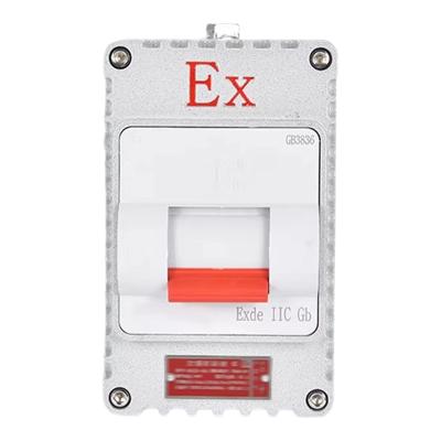 China 1 Circuit Explosion-proof Safety Circuit Breaker 220V/380V 10A/20A/32A/40A/63A Industrial Waterproof Breaker for sale