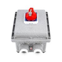 China Square 3P Hazardous Area Cutoff Housing 10A 16A 20A 25A 32A 40A 63A 100A Cast Aluminum Flame Resistant MCB Enclosure Three Pole Ex-Proof Circuit Breaker for sale