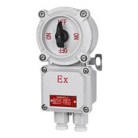 China Explosion-Proof Transfer Switch 10A IP66 Waterproof Cam Switch for Chemical Oil Gas Hazardous Zone 1 Zone 2 for sale