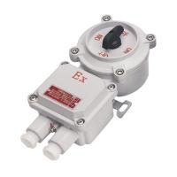 China Explosion-Proof Transfer Switch 10A IP66 Waterproof Cam Switch for Chemical Oil Gas Hazardous Zone 1 Zone 2 for sale