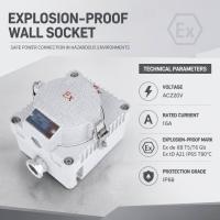 China Hazardous Area Explosion Proof Socket Die Cast Aluminum 16A 3 Pin Wall Socket With Cable Gland for sale