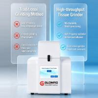 China Vertical Oscillation High Throughput Tissue Grinder Multi Sample Homogenizer for University Laboratory Testing Application for sale