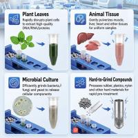 China Laboratory High Throughput Tissue Grinder Homogenizer for Bone Hair Herb Soil Sample Crushing Homogenizing Processing for sale