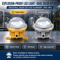 China LED Explosion Proof Light 5W IP65 Maintenance-Free Industrial Explosion Proof Lamp for Hazardous Areas for sale