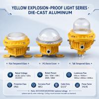 China 10W LED Explosion Proof Fixture IP65 WF2 Long Lifespan Industrial Hazardous Area Lighting for Refinery for sale