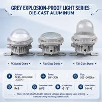 China 10W LED Explosion Proof Fixture IP65 WF2 Long Lifespan Industrial Hazardous Area Lighting for Refinery for sale