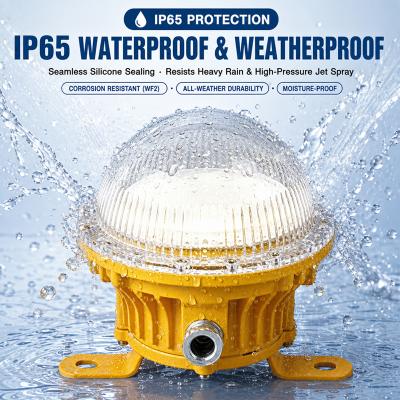China Industrial Maintenance-Free Explosion-Proof Lamp 20W Die-Cast Aluminum IP65 Chemical Plant Explosion Lighting Equipment for sale