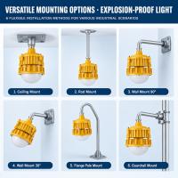 China 50W High Output Maintenance-Free Explosion-Proof Lamp IP65 Warehouse Factory Workshop Area Lighting for sale