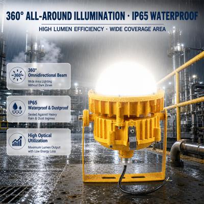 China 50W High Output Maintenance-Free Explosion-Proof Lamp IP65 Warehouse Factory Workshop Area Lighting for sale