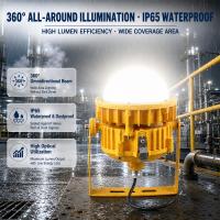China LED Maintenance-free Explosion-proof 60W Floodlight with Microwave Sensing-Emergency Lighting for Petrochemical Platforms for sale