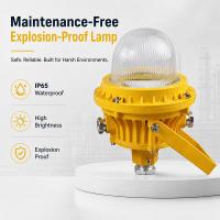 China GLOMRO 30W Maintenance-Free Explosion-Proof Lamp Tempered Glass Cover for Warehouses Gas Stations Hanging Installation for sale
