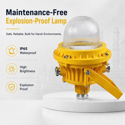 China GLOMRO 30W Maintenance-Free Explosion-Proof Lamp Tempered Glass Cover for Warehouses Gas Stations Hanging Installation for sale