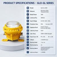 China GLOMRO 30W Maintenance-Free Explosion-Proof Lamp Tempered Glass Cover for Warehouses Gas Stations Hanging Installation for sale