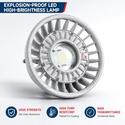China LED Explosion-Proof Light 20W/30W/40W/50W/60W/70W/80W/100W/120W IP66 Die-cast Aluminum Hazardous Location Lighting Multiple Power Options for sale