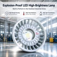 China Anti-Corrosion LED Explosion-Proof High-Brightness Lamp, Explosion-Proof Industrial Lighting Tool, Used in Tunnels, Factories, Gas Stations and other places for sale