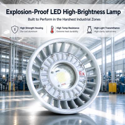 China Anti-Corrosion LED Explosion-Proof High-Brightness Lamp, Explosion-Proof Industrial Lighting Tool, Used in Tunnels, Factories, Gas Stations and other places for sale