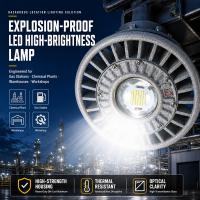 China Anti-Corrosion LED Explosion-Proof High-Brightness Lamp, Explosion-Proof Industrial Lighting Tool, Used in Tunnels, Factories, Gas Stations and other places for sale