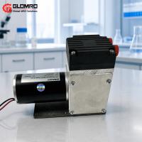 China BAXIT PM33387-96 Corrosion Resistant Gas Sampling Pump DC24V Micro Diaphragm Pump for CEMS VOC Flue Gas Sampling for sale