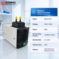 China KNF N811KT.18 Chemical Resistant Diaphragm Vacuum Pump PTFE-coated Diaphragm for Vacuum Filtration for sale