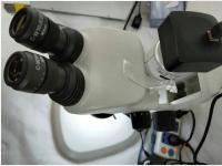 China Professional Laboratory Testing Equipment , Rubber Carbon Black Dispersion Detector for sale