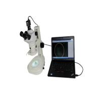 China Automatic Carbon Black Content Testing Machine Tester DZ3500 for sale