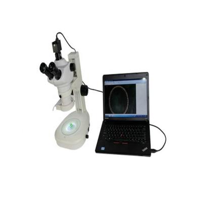 China Automatic Carbon Black Content Testing Machine Tester DZ3500 for sale