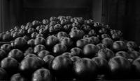 China Chemical Engineering Wear Resistant Material ZQCr8 Chrome Steel Ball for sale
