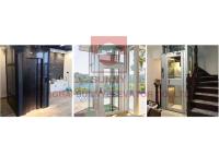China Aluminum Home Passenger Inexpensive Home Elevator Lift 320kg 400g 450kg for sale