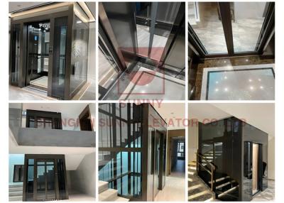 China Residential Apartment Machine Room Less Or MR Passenger Lift With Tempered Glass Or Stainless Steel for sale
