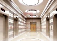 China 630kg Commercial Passenger Elevator Lift With Machine Room Less for sale