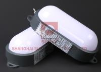 China Surface Mounted Elevator Shaft Light LED Wall Light 8W Oval Ceiling Lighting For Elevator Parts for sale