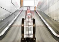 China Airport High Speed Moving Walk Elevator For Large Passenger Lift With Modern Flavor Design for sale