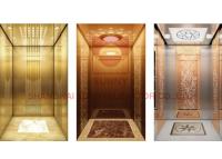 China 400kg 350mm Pit Residential Home Elevator With No Machine Room for sale