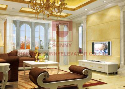 China Steel Belt Type Villa Private Elevator lift With Polyurethane Layer for sale