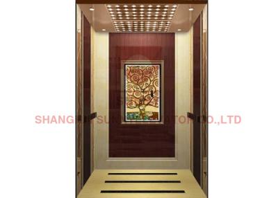 China Villa House Small Load 320kg Residential Home Elevators Ce En81 for sale