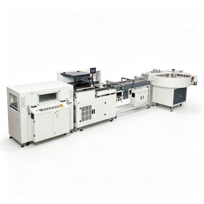 China Precise Control Automatic Packaging Line Parameter Adjustment Packaging Production Line 1080Kg Capacity for sale