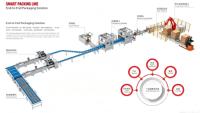 China Smart Packing Line Collaborative Palletizing Robot Carton Loading Sealing System for sale