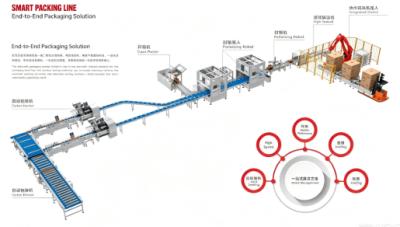 China Smart Packing Line Collaborative Palletizing Robot Carton Loading Sealing System for sale
