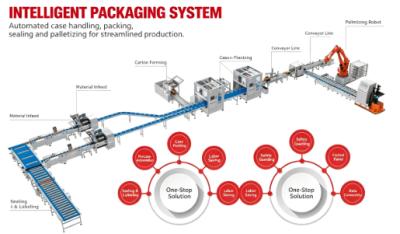 China High Speed Automatic Packaging Line Carton Erecting Packing Sealing Machine System for sale